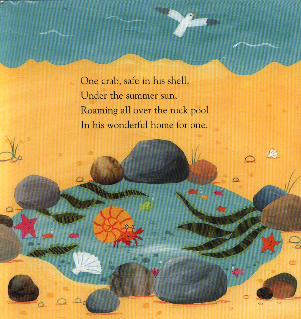 Sharing a shell by Donaldson, Julia (9781509894161) | BrownsBfS