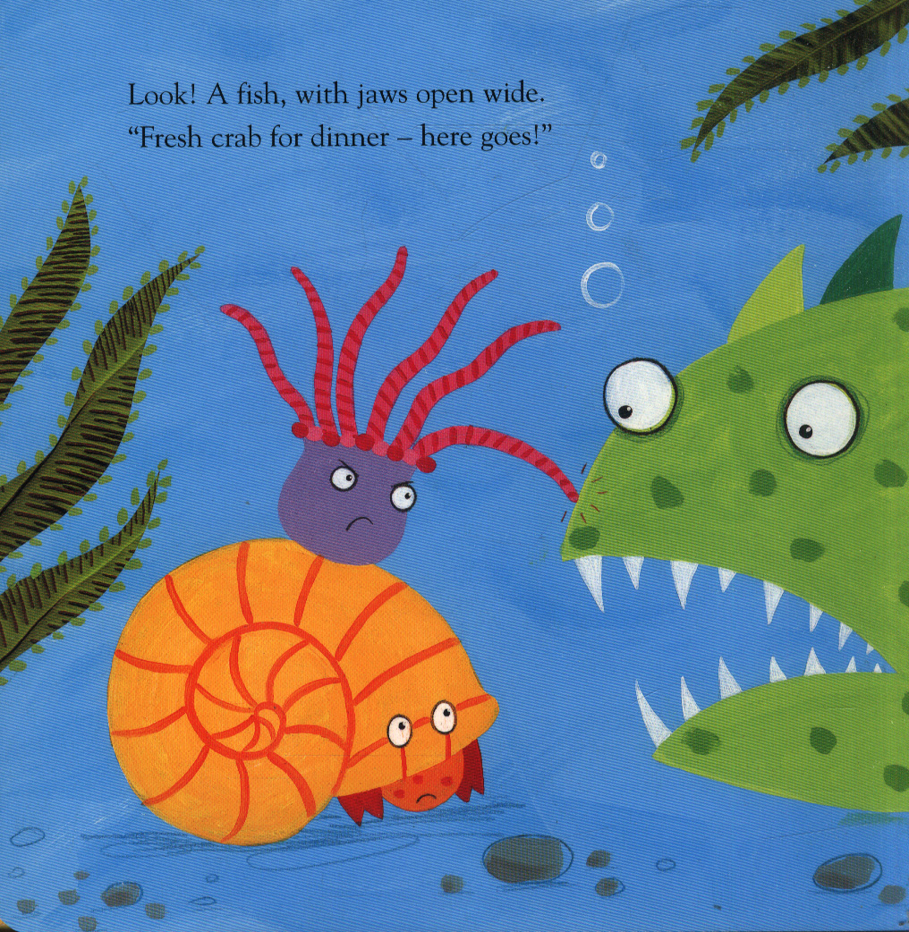 Sharing A Shell By Donaldson Julia 9781509894161 BrownsBfS Sharing A Shell By Donaldson Julia 9781509894161 BrownsBfS