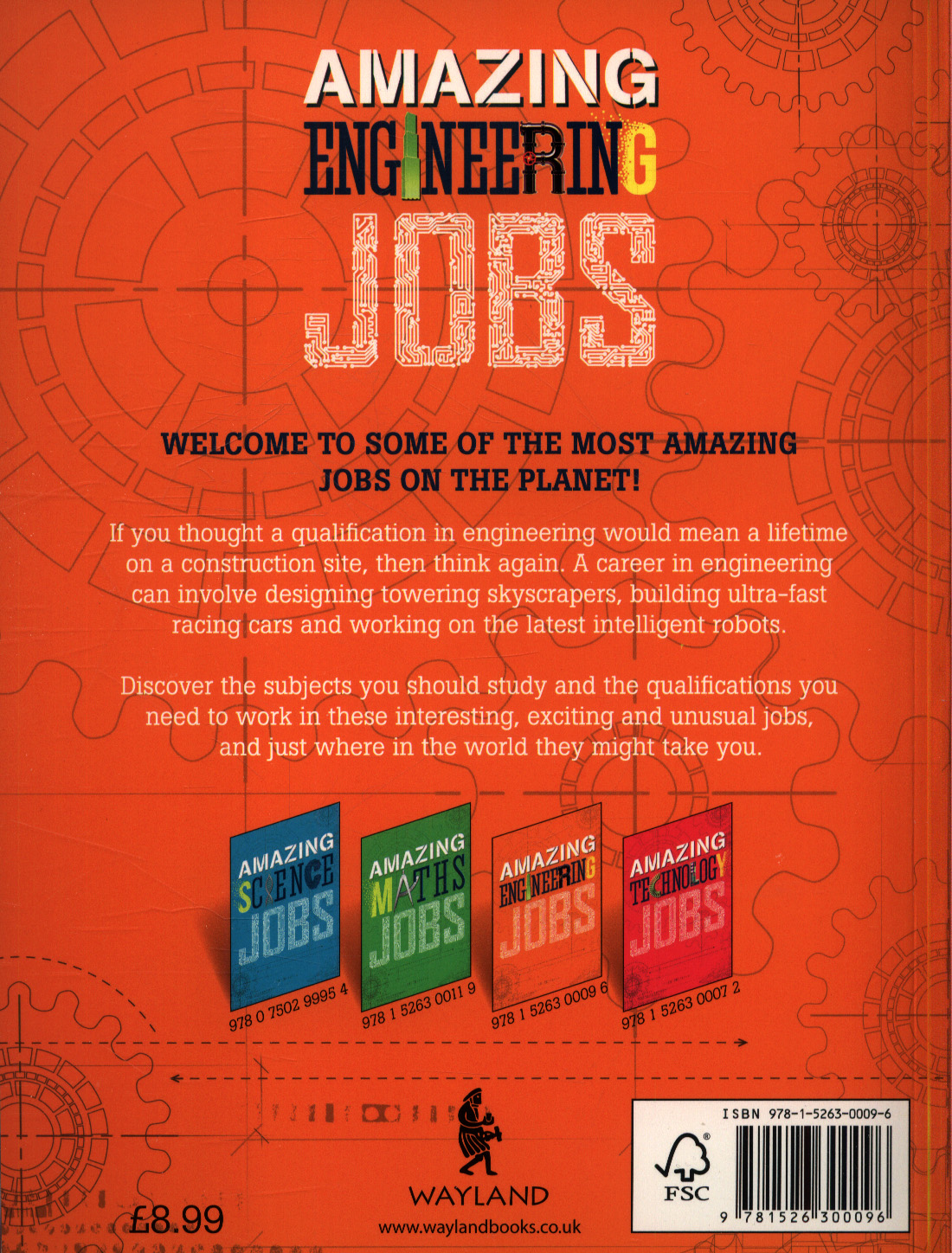 Amazing Jobs: Amazing Jobs: Engineering by Hynson, Colin (9781526300096 ...