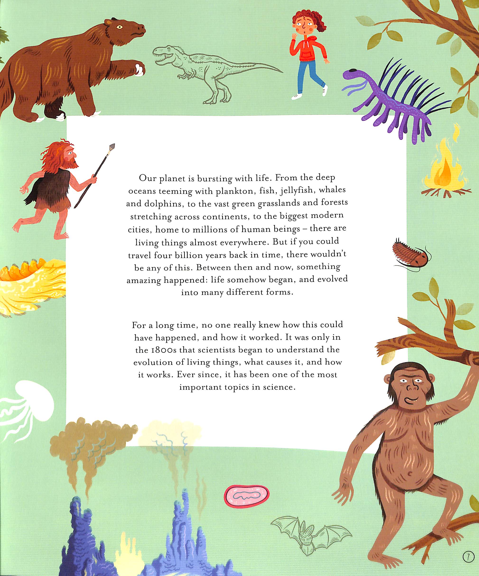 Amazing Evolution by Claybourne, Anna (9781782406365) | Browns Books