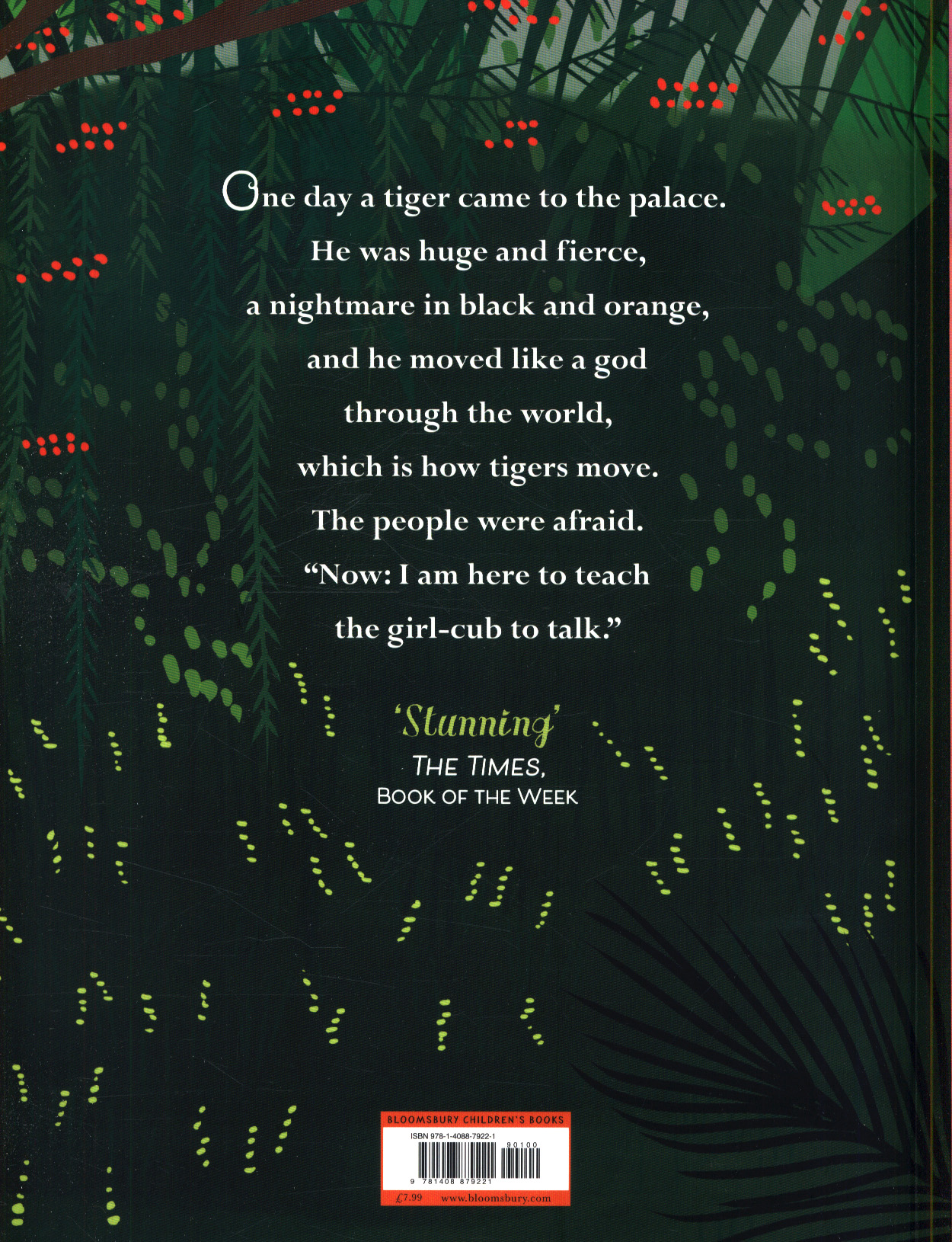 Cinnamon by Gaiman, Neil (9781408879221) | BrownsBfS