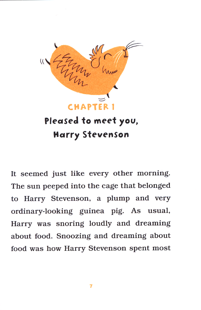 The adventures of Harry Stevenson