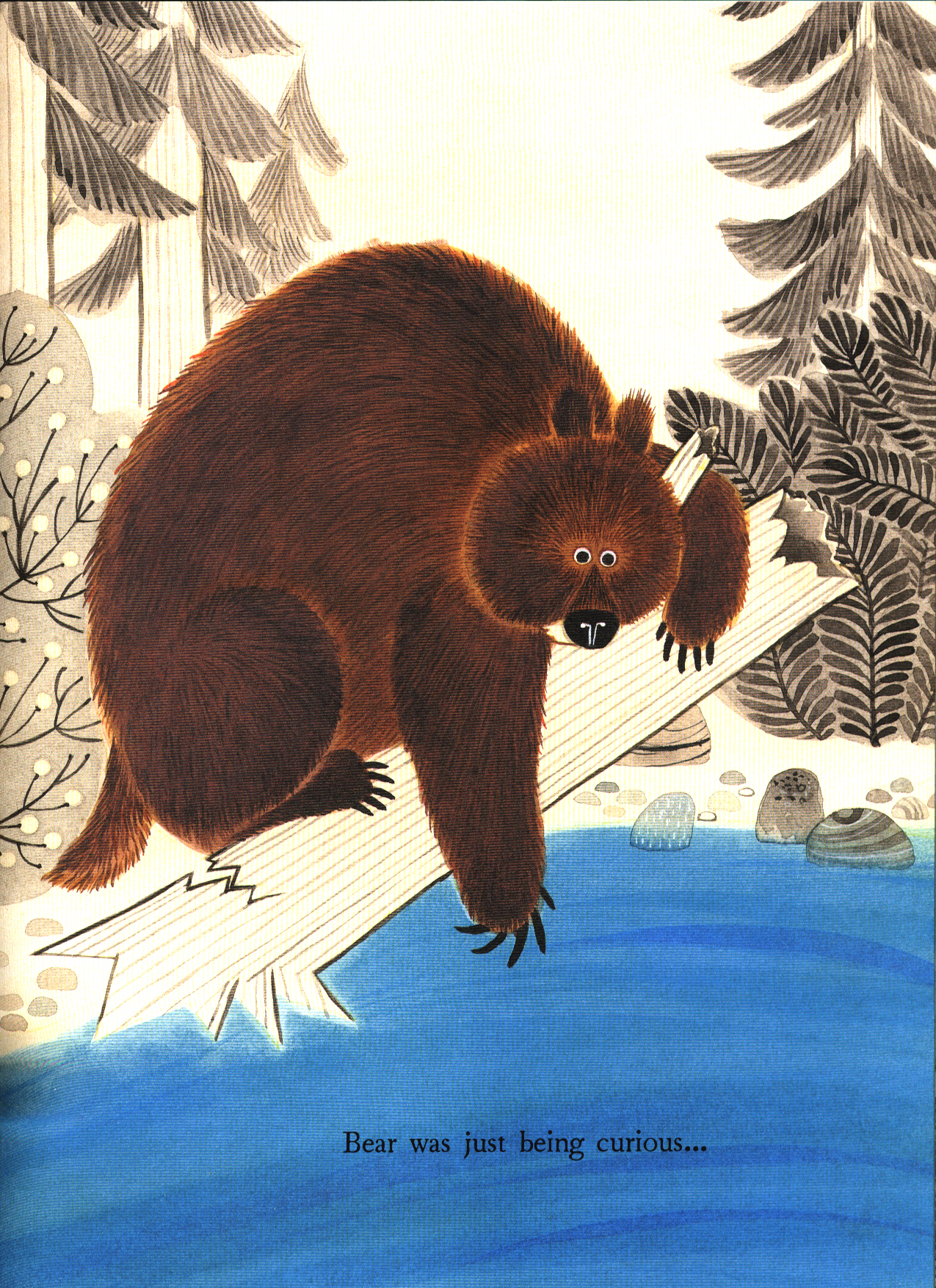 Bear came along by Morris, Richard T. (9780316464475) | BrownsBfS