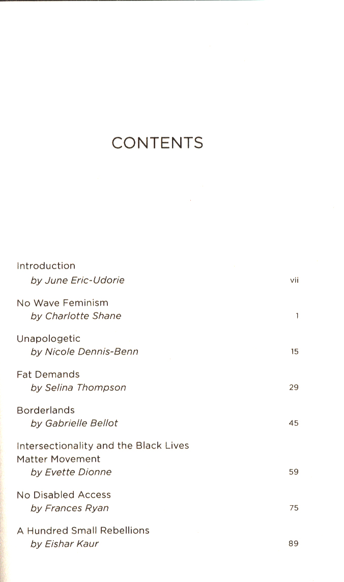 Can We All Be Feminists? : Seventeen writers on intersectionality ...