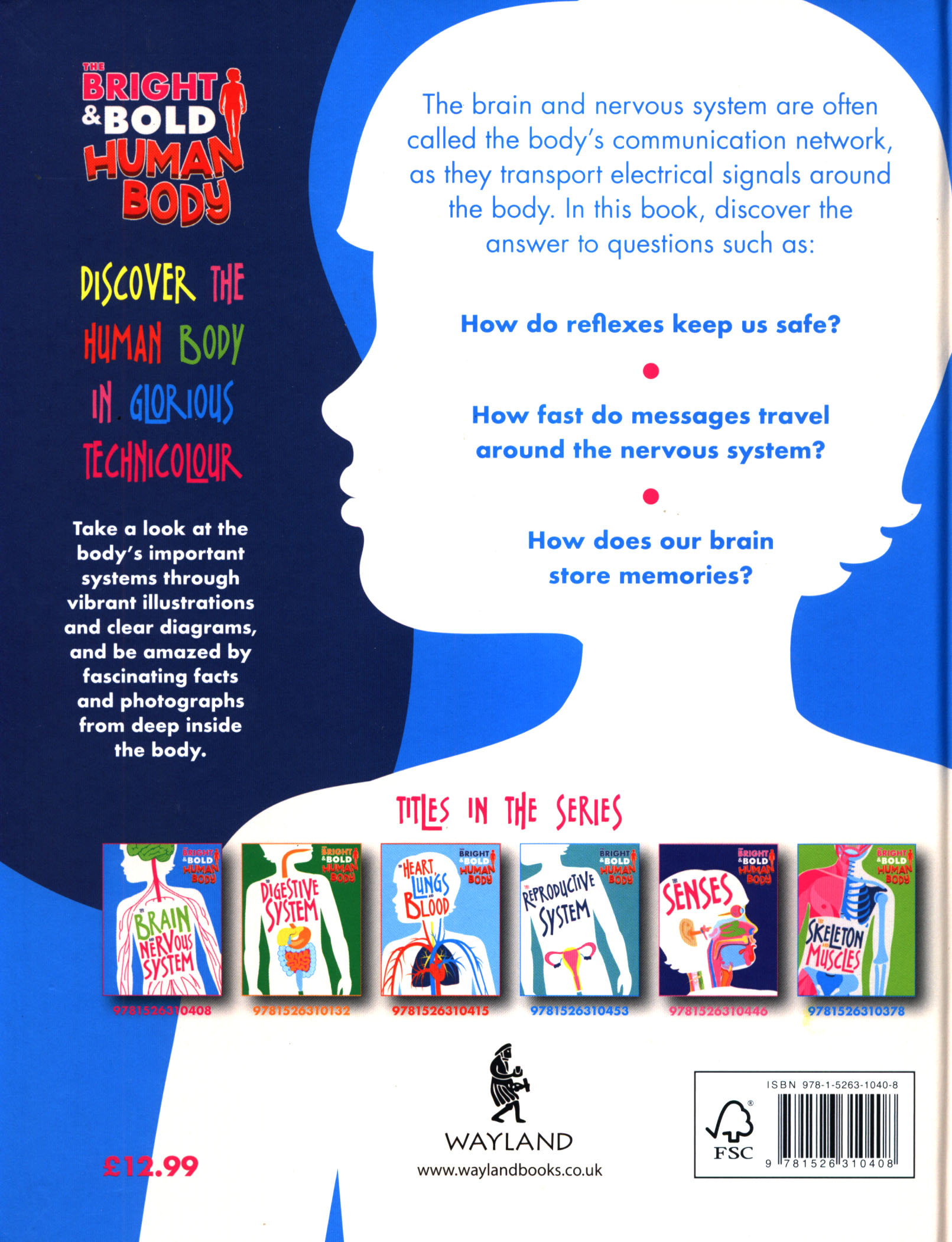 The Bright and Bold Human Body: The Brain and Nervous System