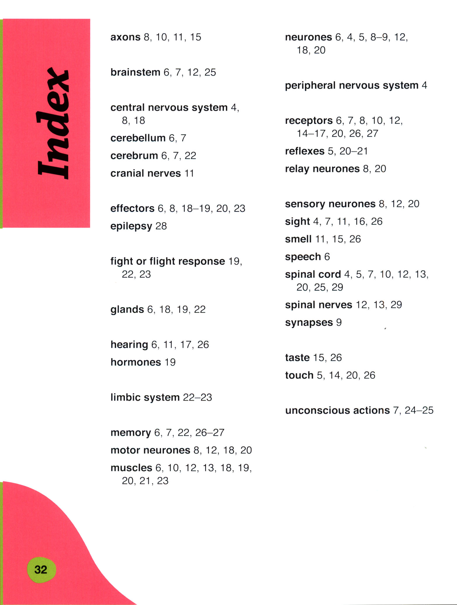 The Bright and Bold Human Body: The Brain and Nervous System