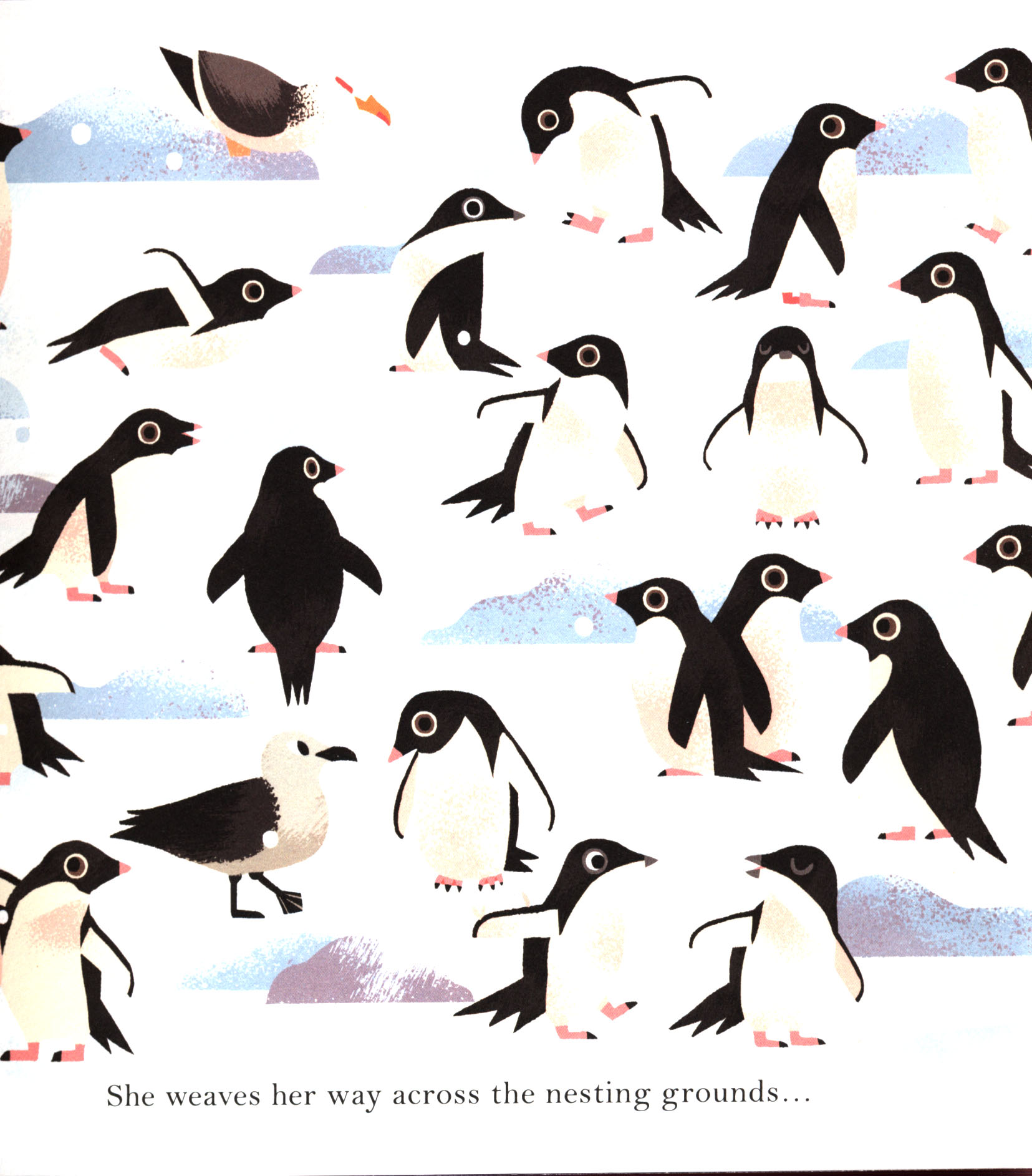 One Day on Our Blue Planet …In the Antarctic by Bailey, Ella ...