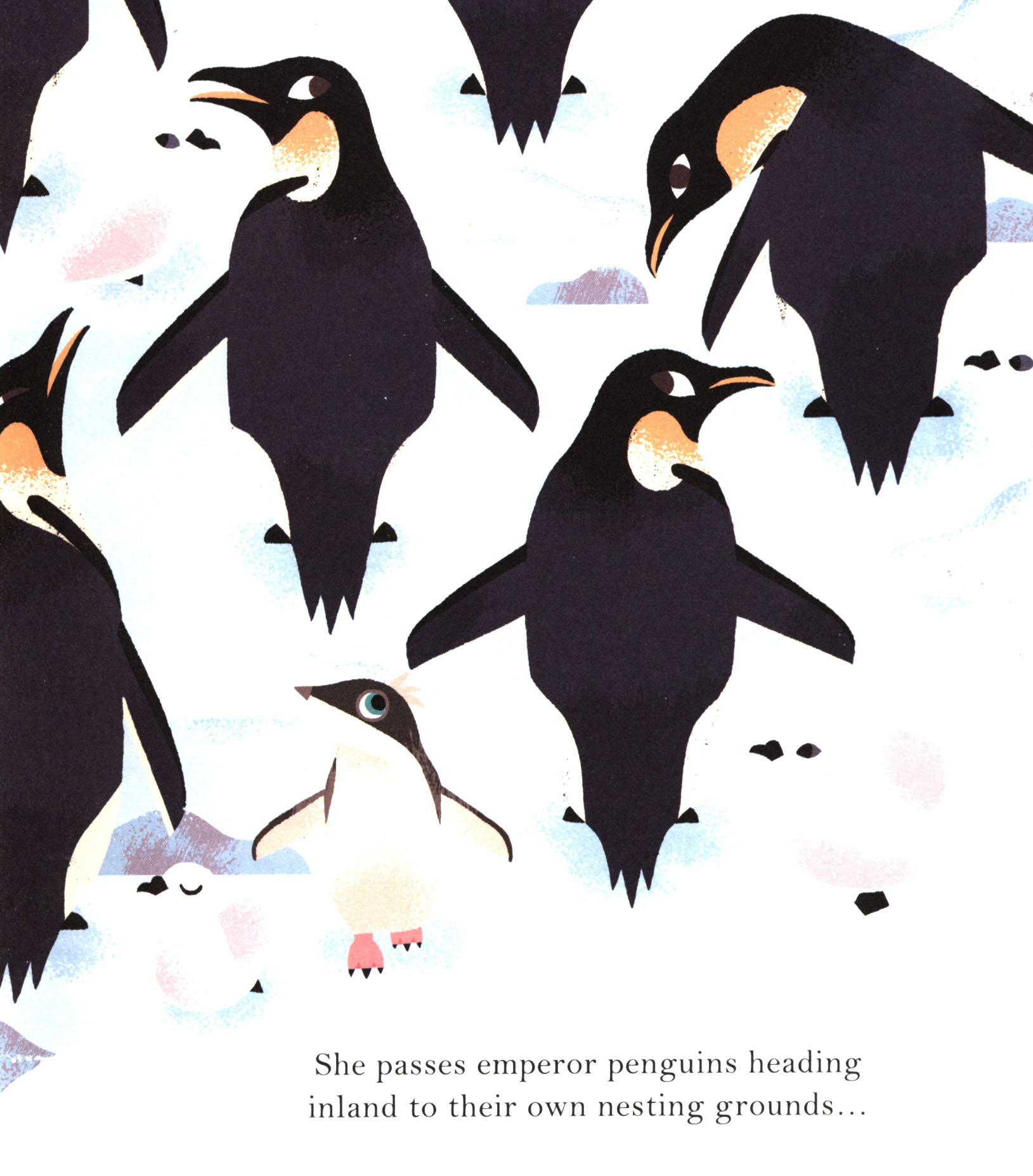 One Day on Our Blue Planet …In the Antarctic by Bailey, Ella ...