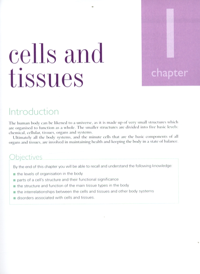 Anatomy and Physiology: Therapy Basics Third Edition by McGuinness ...