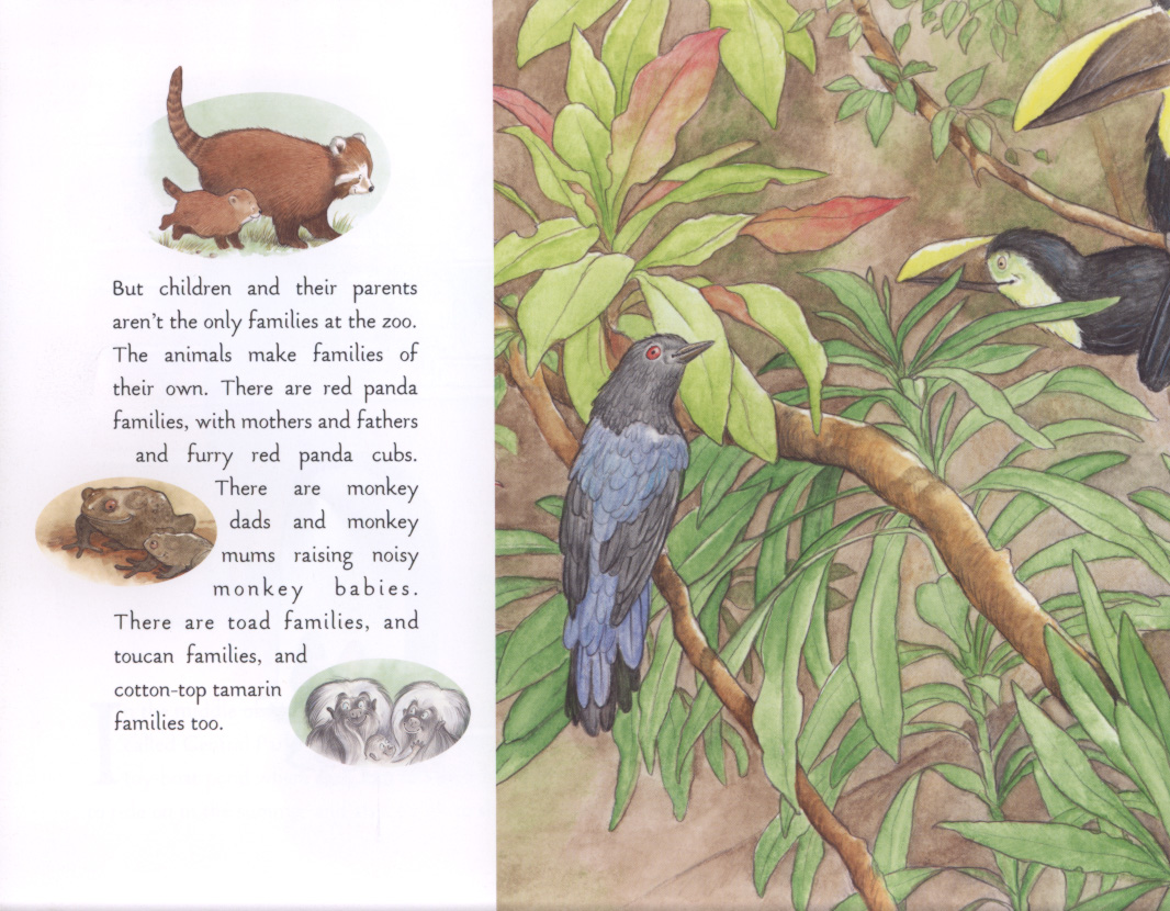 And Tango makes three by Parnell, Peter (9781847381484) | BrownsBfS