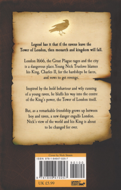 Raven boy by Goodhart, Pippa (9781846470257) | BrownsBfS