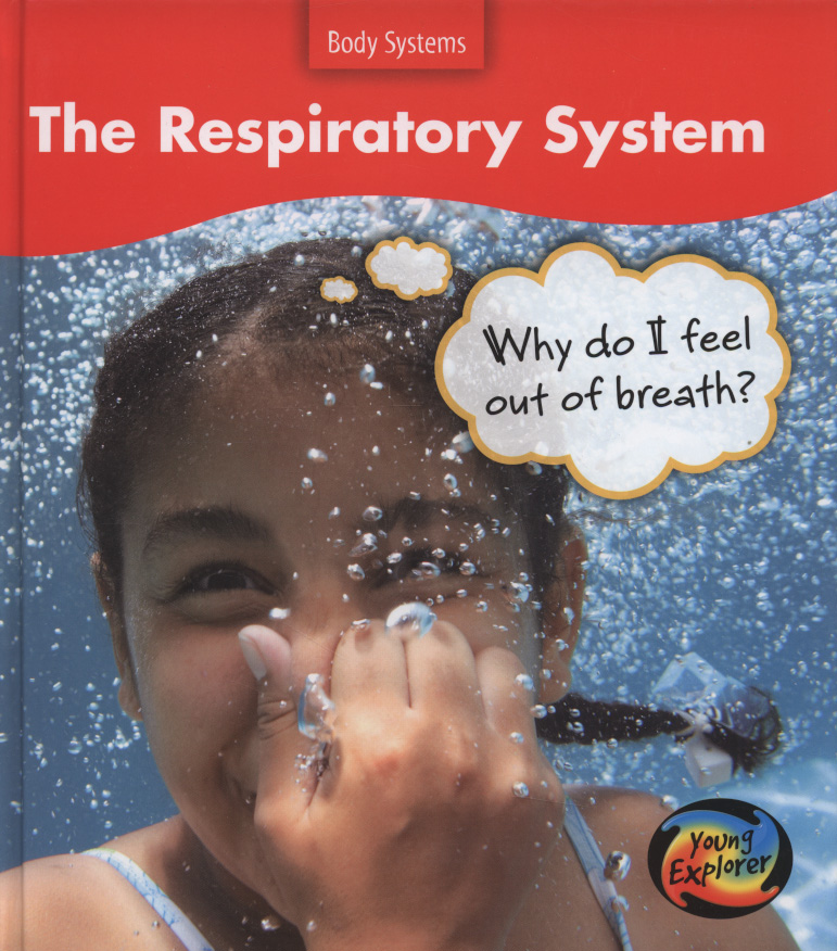 The Respiratory System Why Do I Feel Out Of Breath By Barraclough