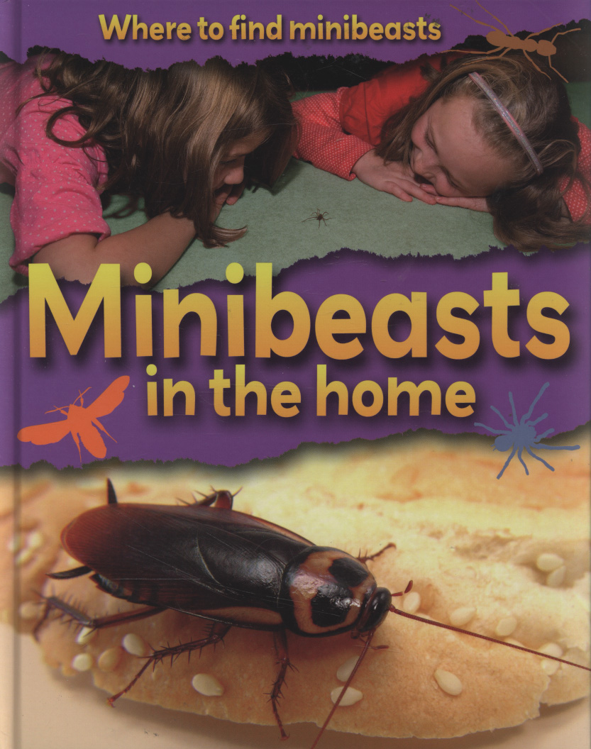 Where to Find Minibeasts: Minibeasts in the Home by Ridley, Sarah ...