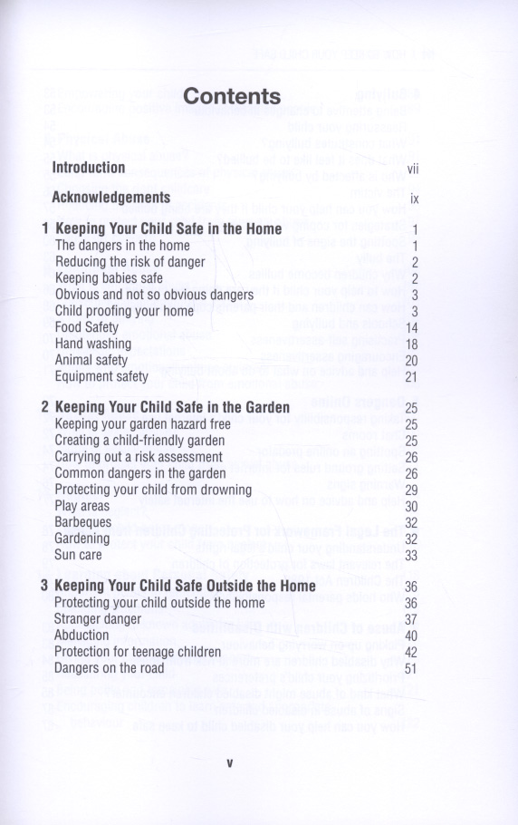 How To Keep Your Child Safe by Lee, Allison (9781845282363) | Browns Books