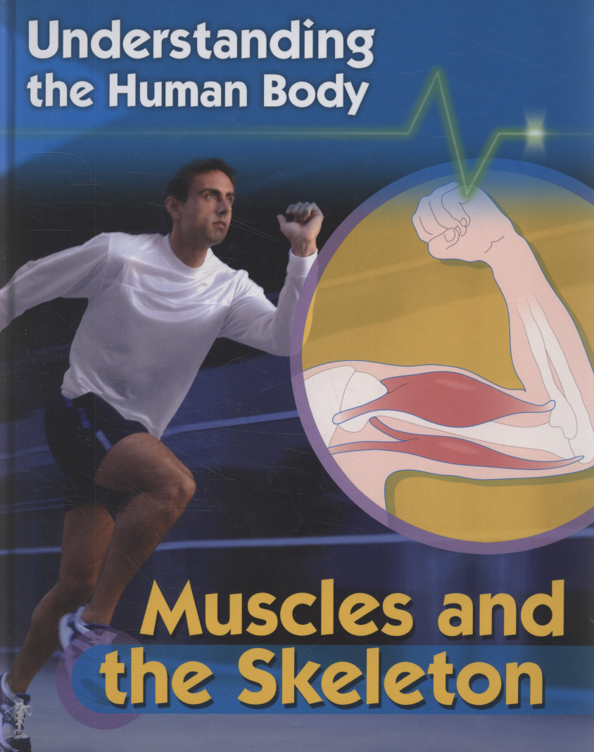 Understanding the Human Body: Muscles and Skeleton by Snedden, Robert ...