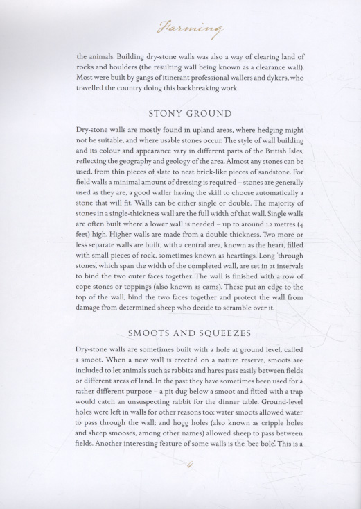 Lost Crafts: Rediscovering Traditional Skills by McGovern, Una ...