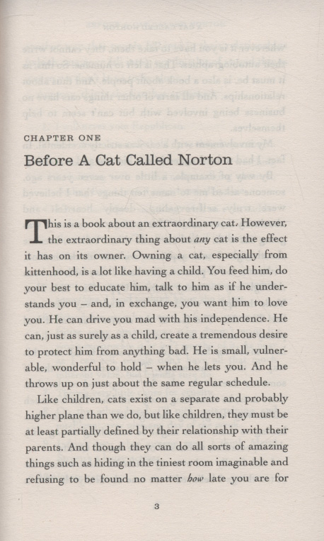 A Cat Called Norton