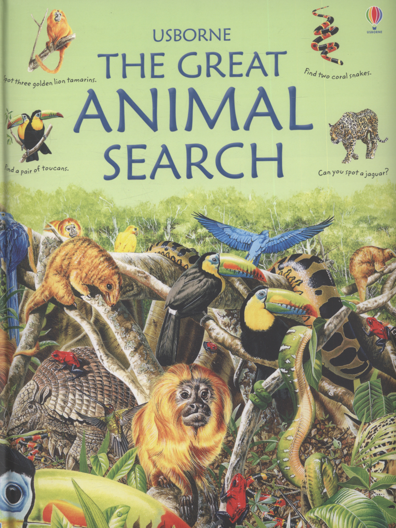 Great Animal Search by Jackson, Ian (9781409508533) | Browns Books