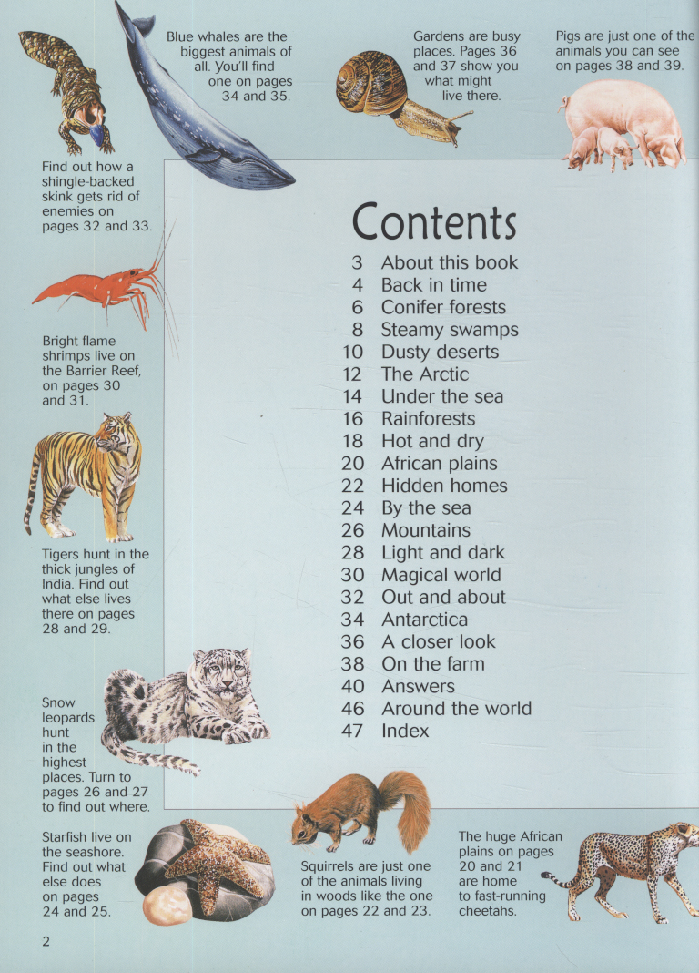 Great Animal Search by Jackson, Ian (9781409508533) | Browns Books