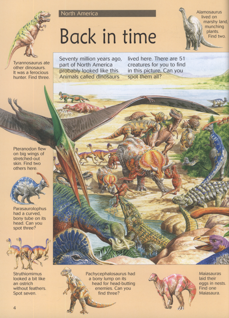 Great Animal Search by Jackson, Ian (9781409508533) | Browns Books