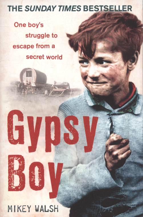 Gypsy Boy by Walsh, Mikey (9780340977989) | Browns Books