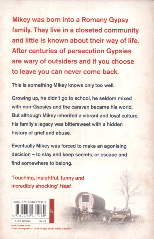 Gypsy Boy by Walsh, Mikey (9780340977989) | Browns Books