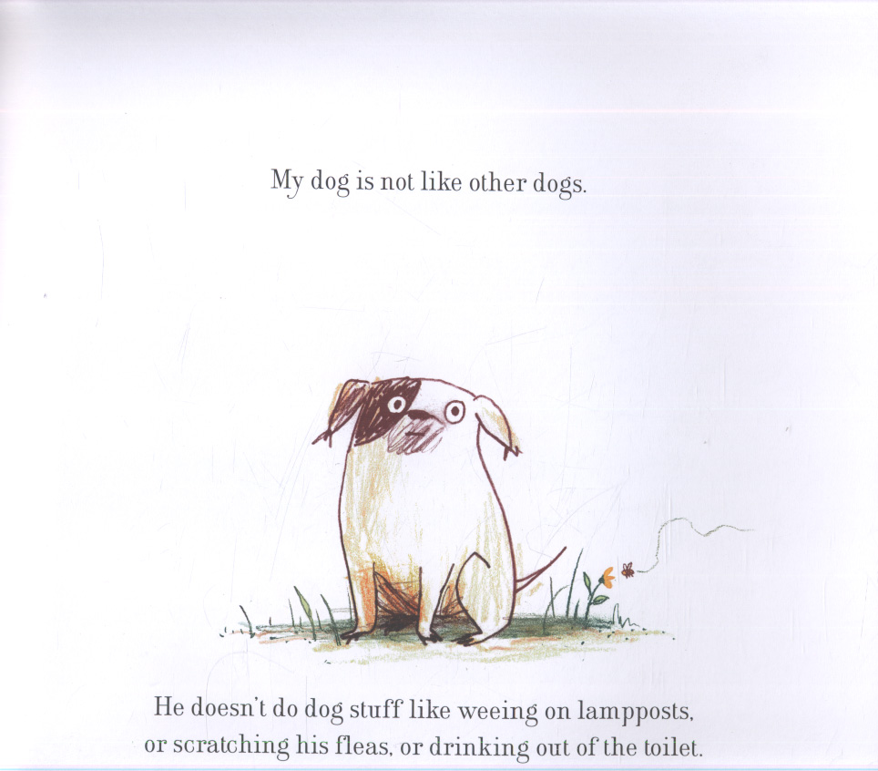 Dogs don't do ballet by Kemp, Anna (9781847384744) | BrownsBfS