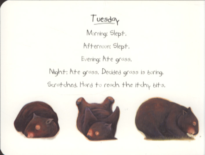 Diary of a wombat by French, Jackie (9780007371099) | BrownsBfS