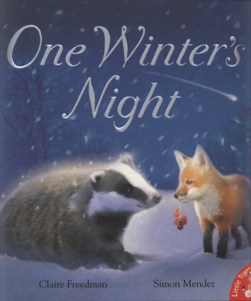 One Winter's Night by FREEDMAN, CLAIRE (9781845069728) | Browns Books