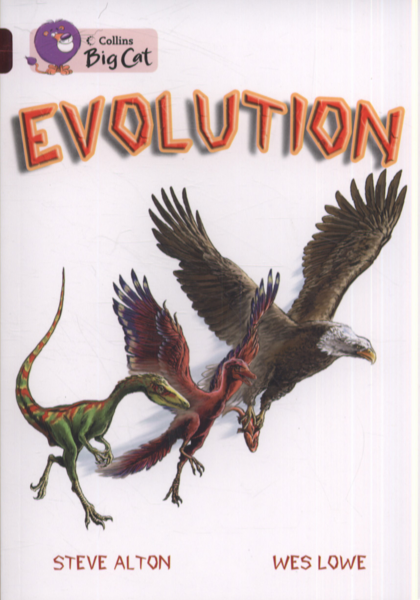 Evolution by Alton, Steve (9780007336333) | Browns Books