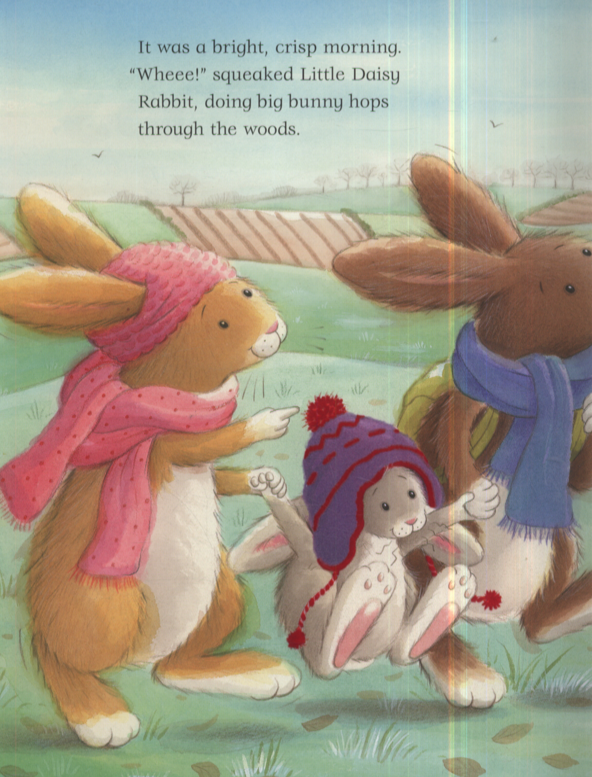 Hot cross bunny! by Butler, M Christina (9781848951440) | BrownsBfS