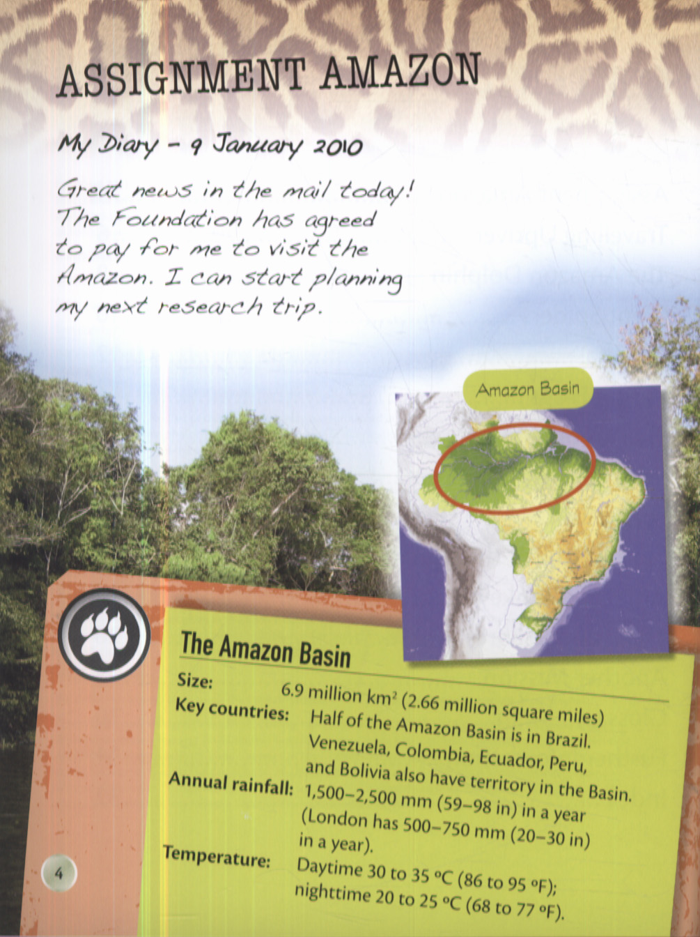 Rainforest rough guide by Mason, Paul (9781408126837) | BrownsBfS