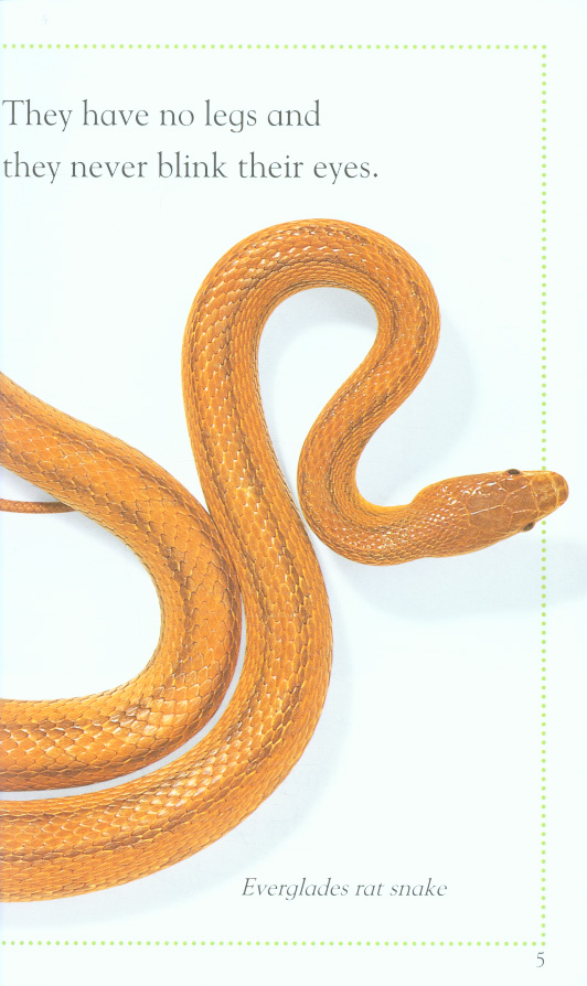 Slinky, Scaly, Snakes by Dussling, Jennifer (9781405364102) | Browns Books