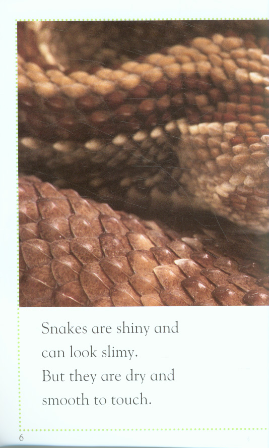 Slinky, Scaly, Snakes by Dussling, Jennifer (9781405364102) | Browns Books
