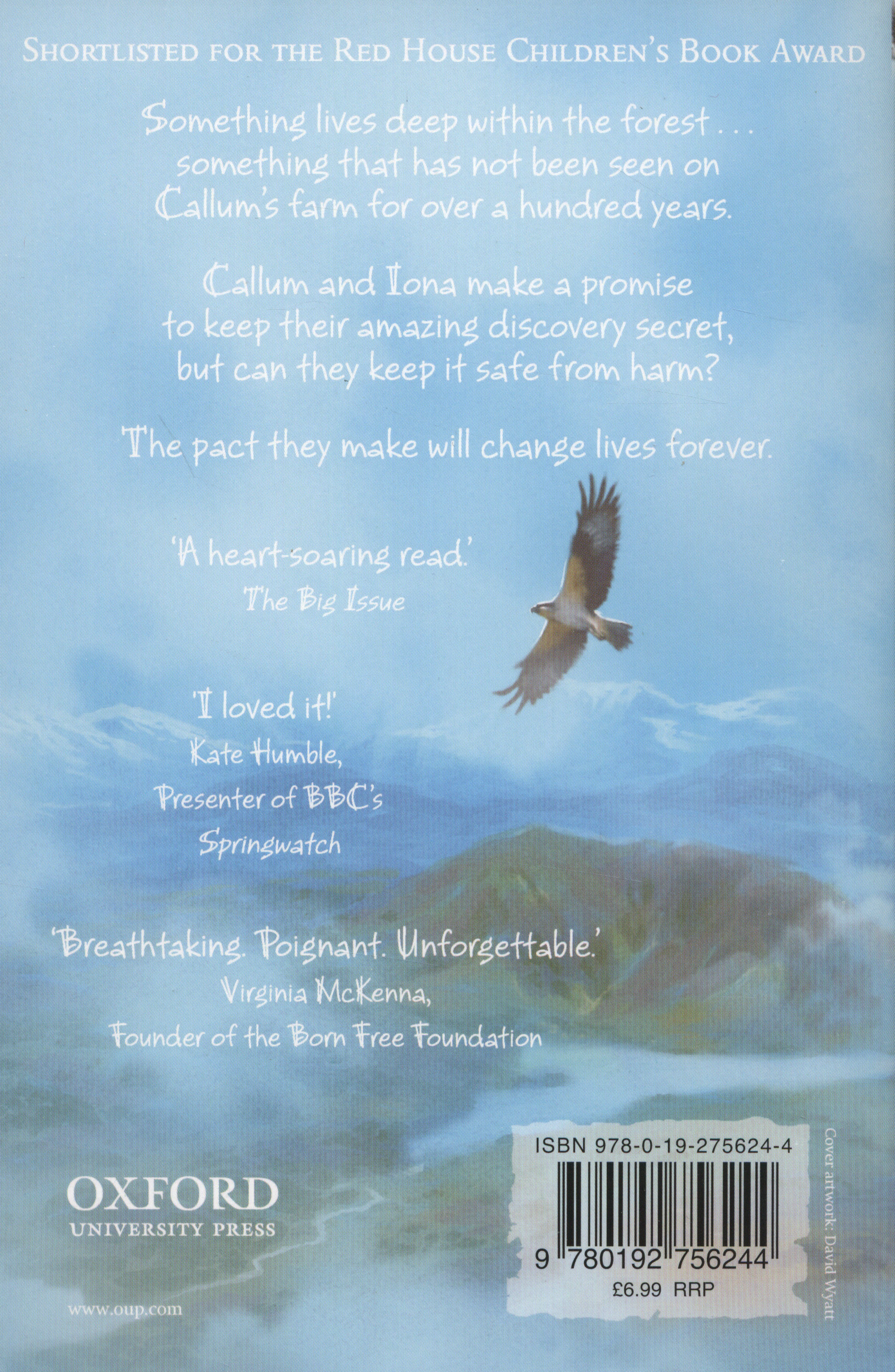 Sky Hawk by Lewis, Gill (9780192756244) | Browns Books