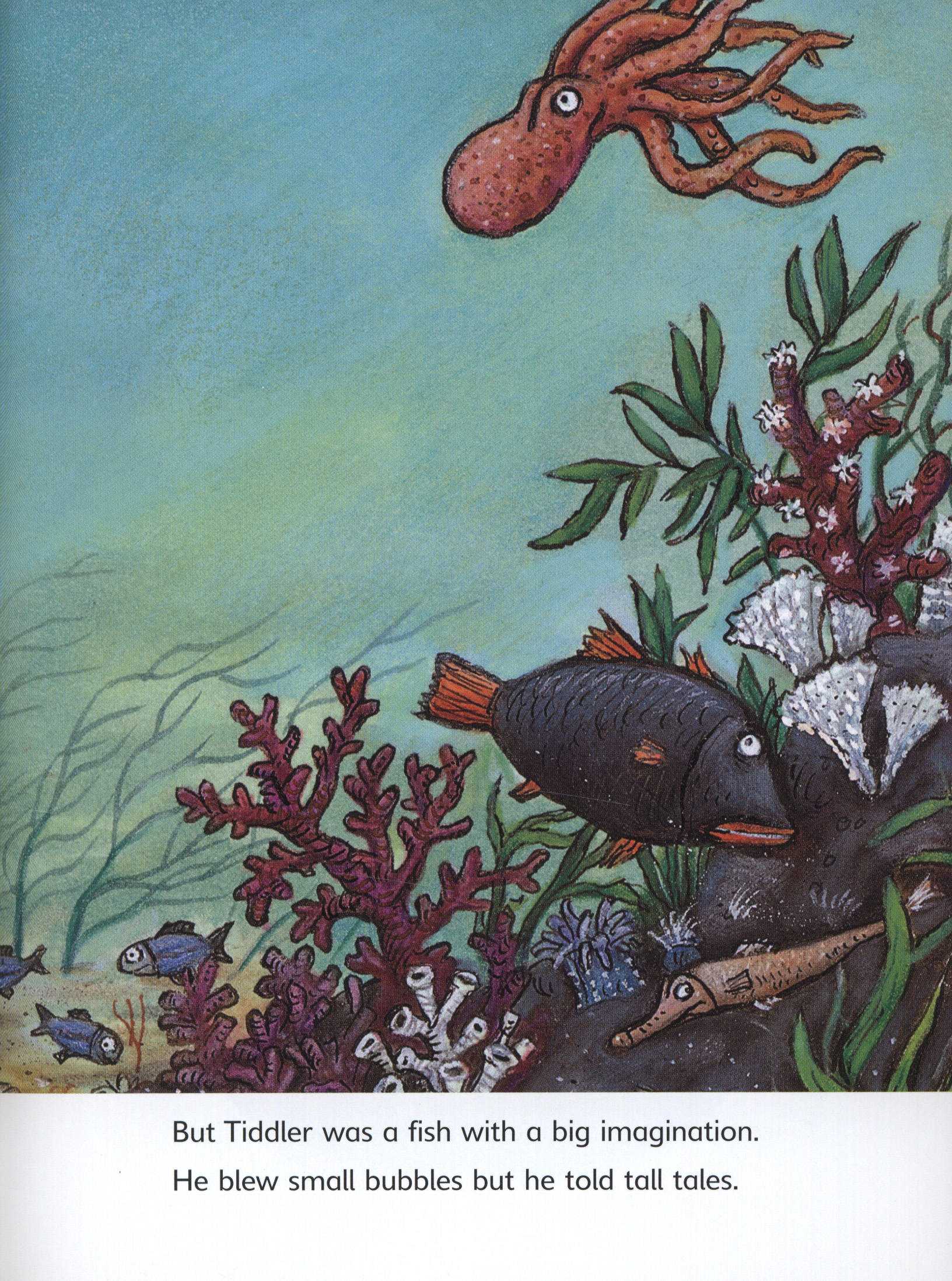 Tiddler Reader by Donaldson, Julia (9781407130477) | Browns Books