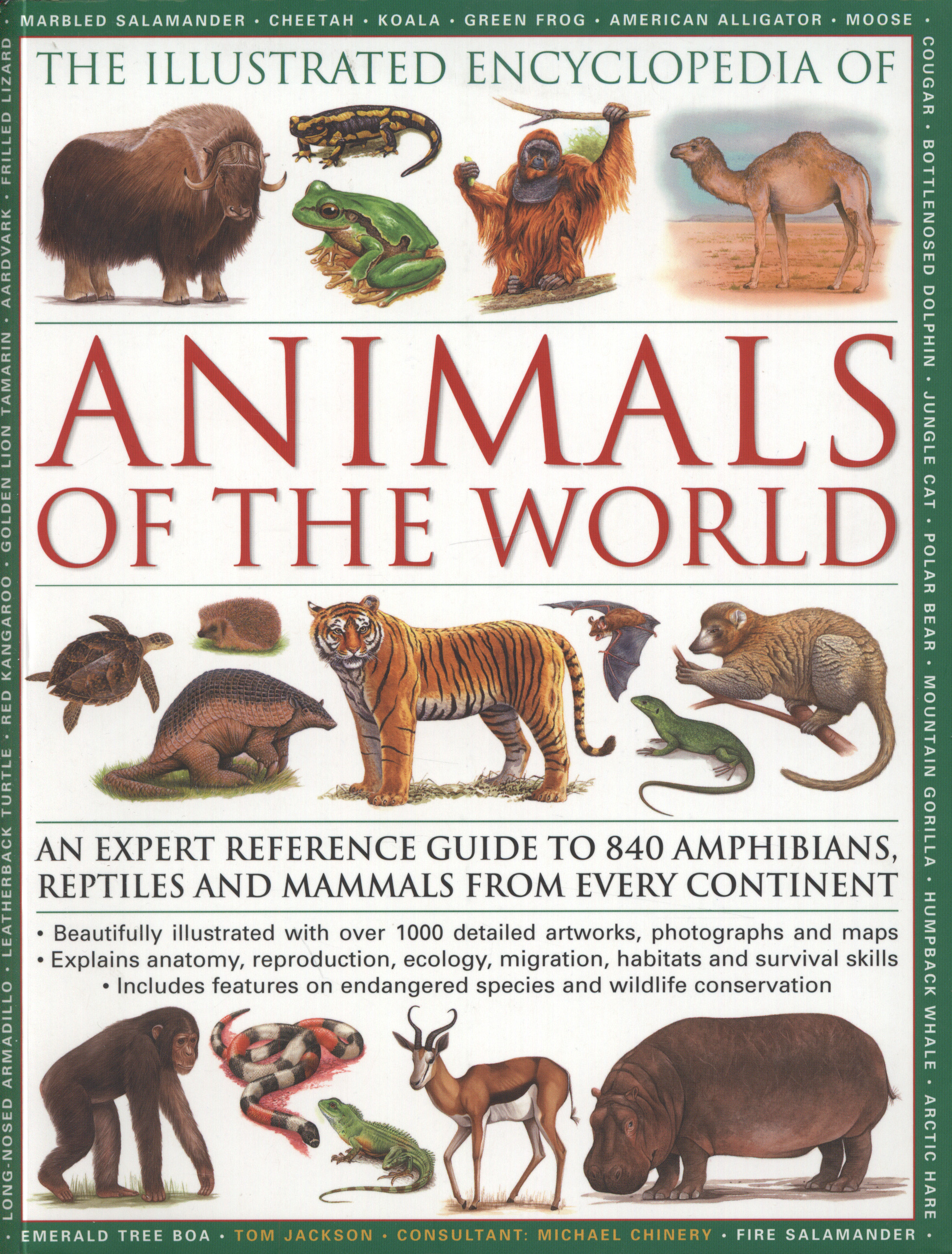 Illustrated Encyclopedia of Animals of the World by JACKSON, TOM ...