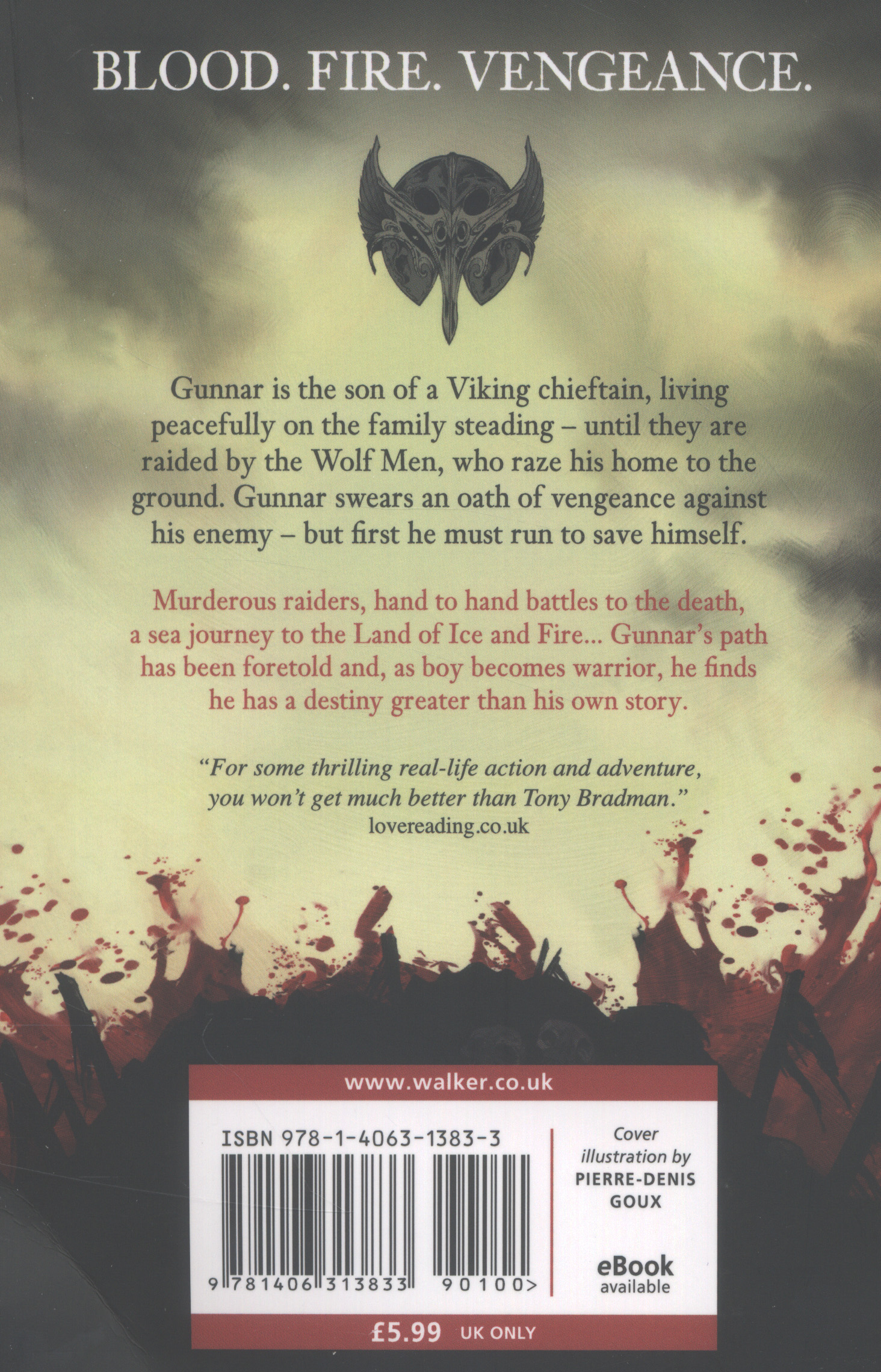 Viking Boy by Bradman, Tony (9781406313833) | Browns Books