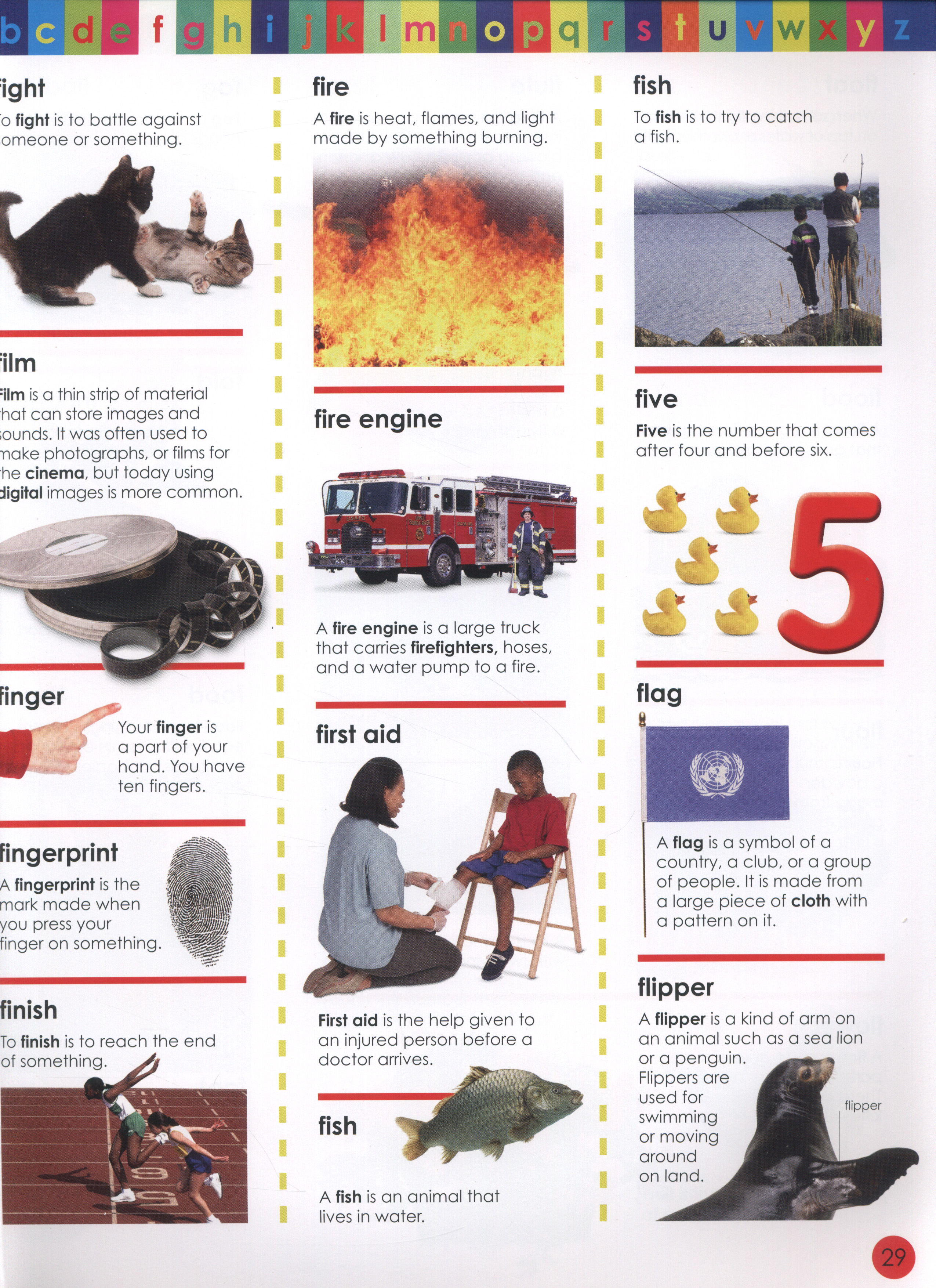 My First Dictionary by DK (9781409386117) | Browns Books