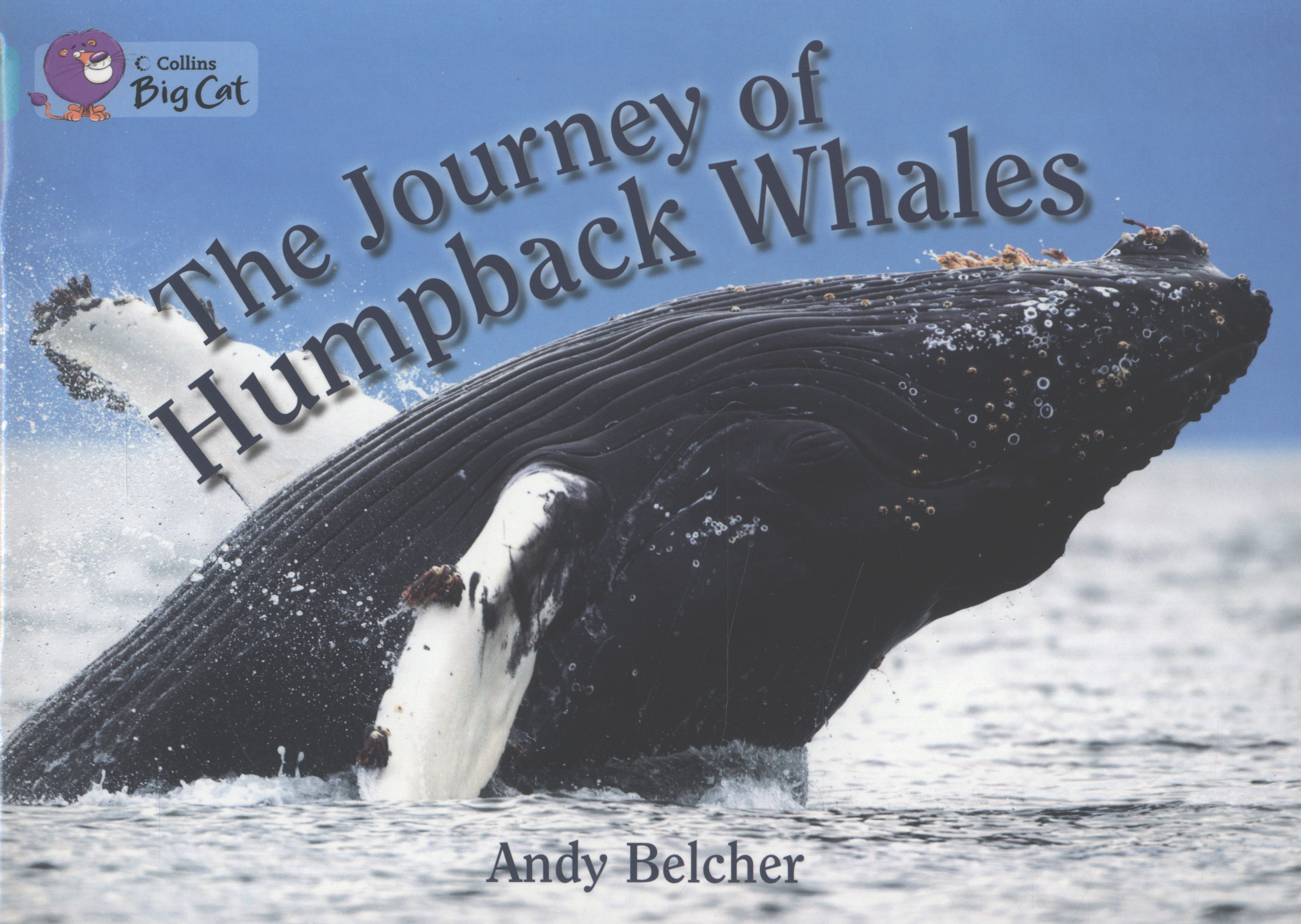 The Journey of Humpback Whales by Belcher, Andy (9780007461820 ...