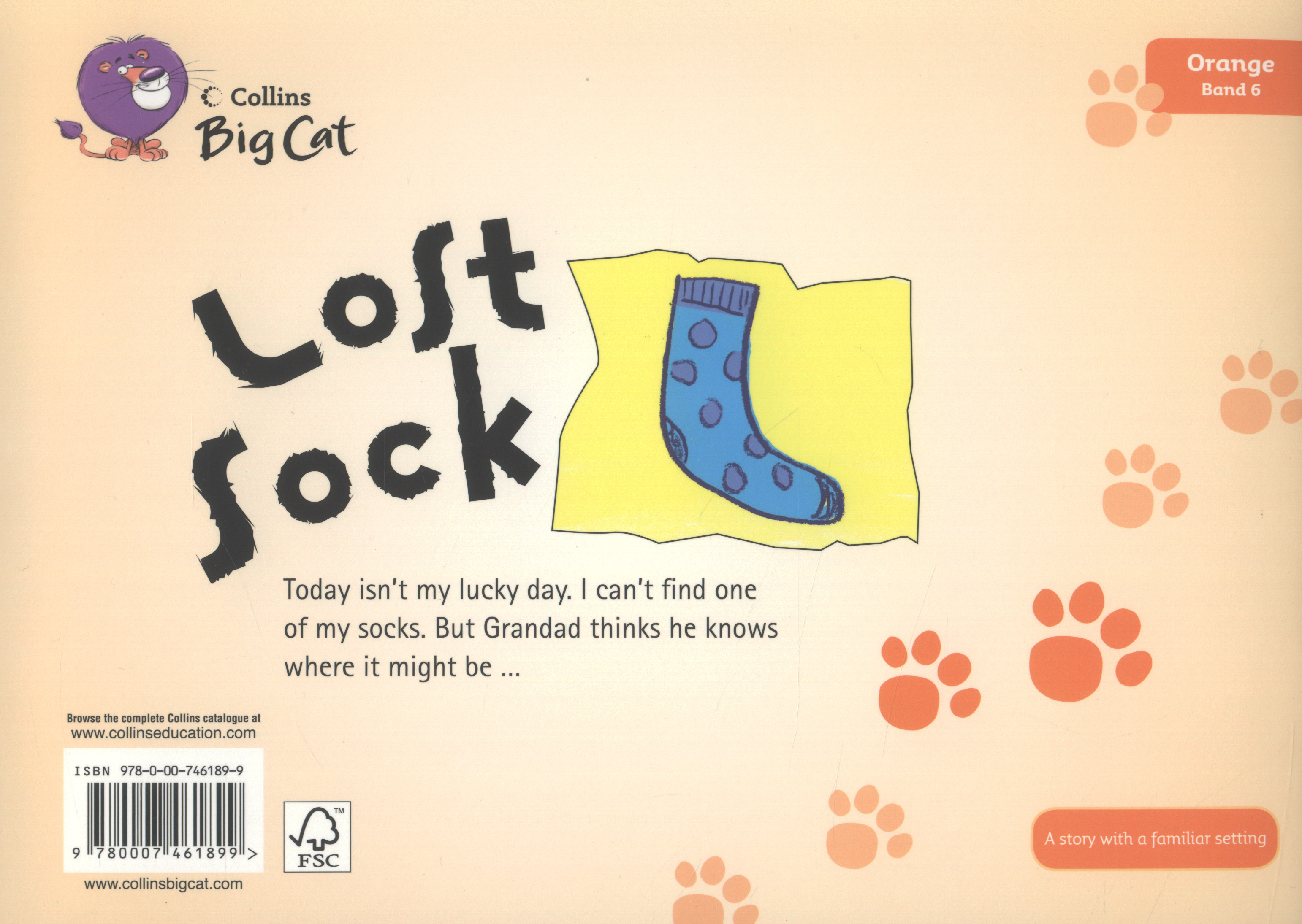 The Lost Sock by Hopgood, Tim (9780007461899) | Browns Books