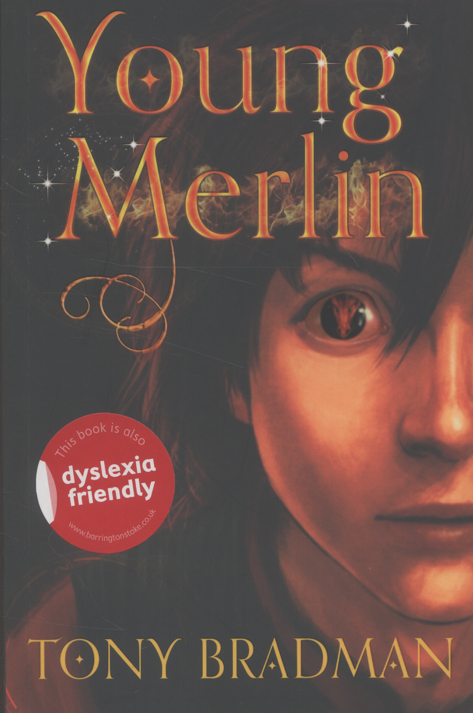 Young Merlin by Bradman, Tony (9781781120729) | Browns Books