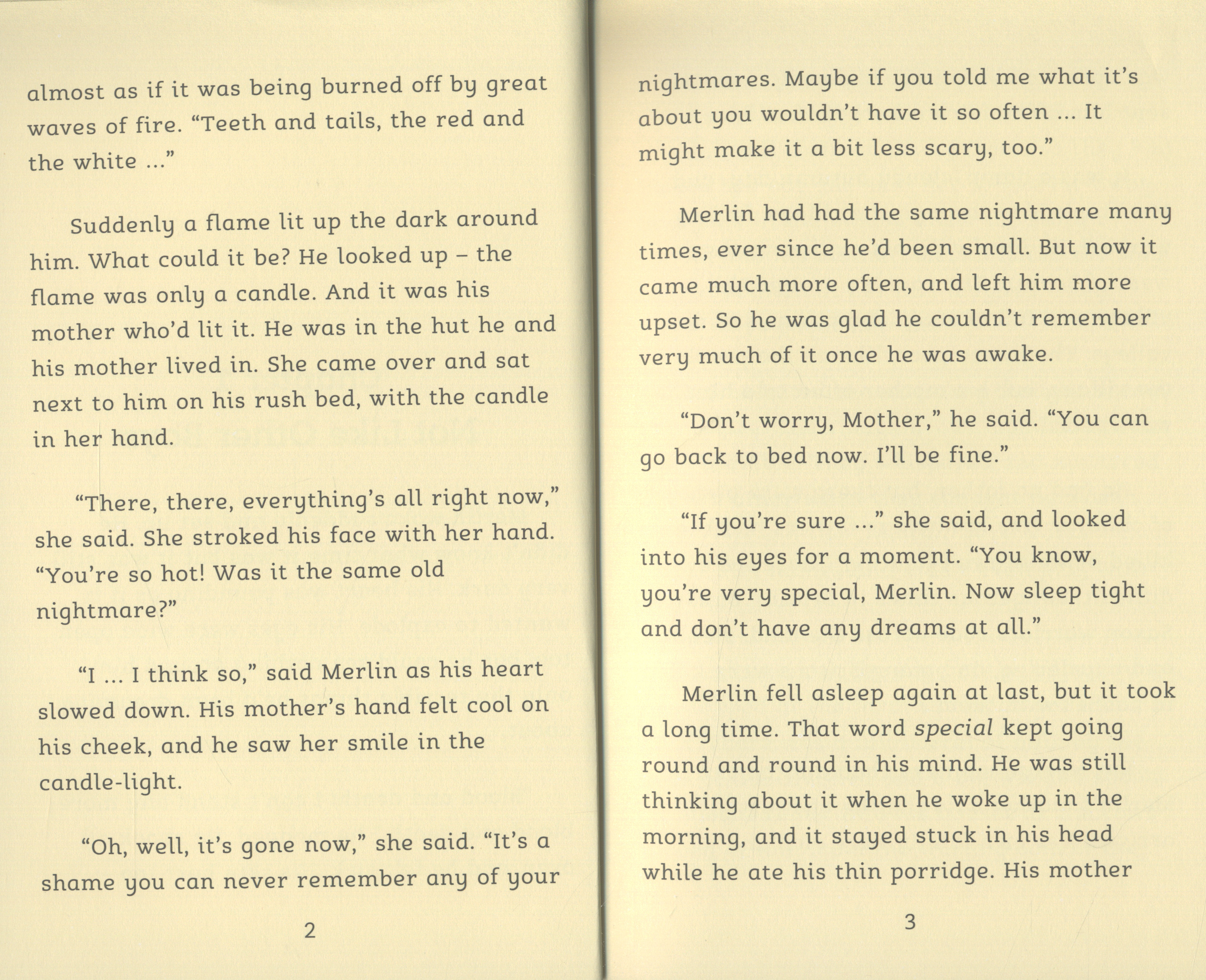 Young Merlin by Bradman, Tony (9781781120729) | Browns Books