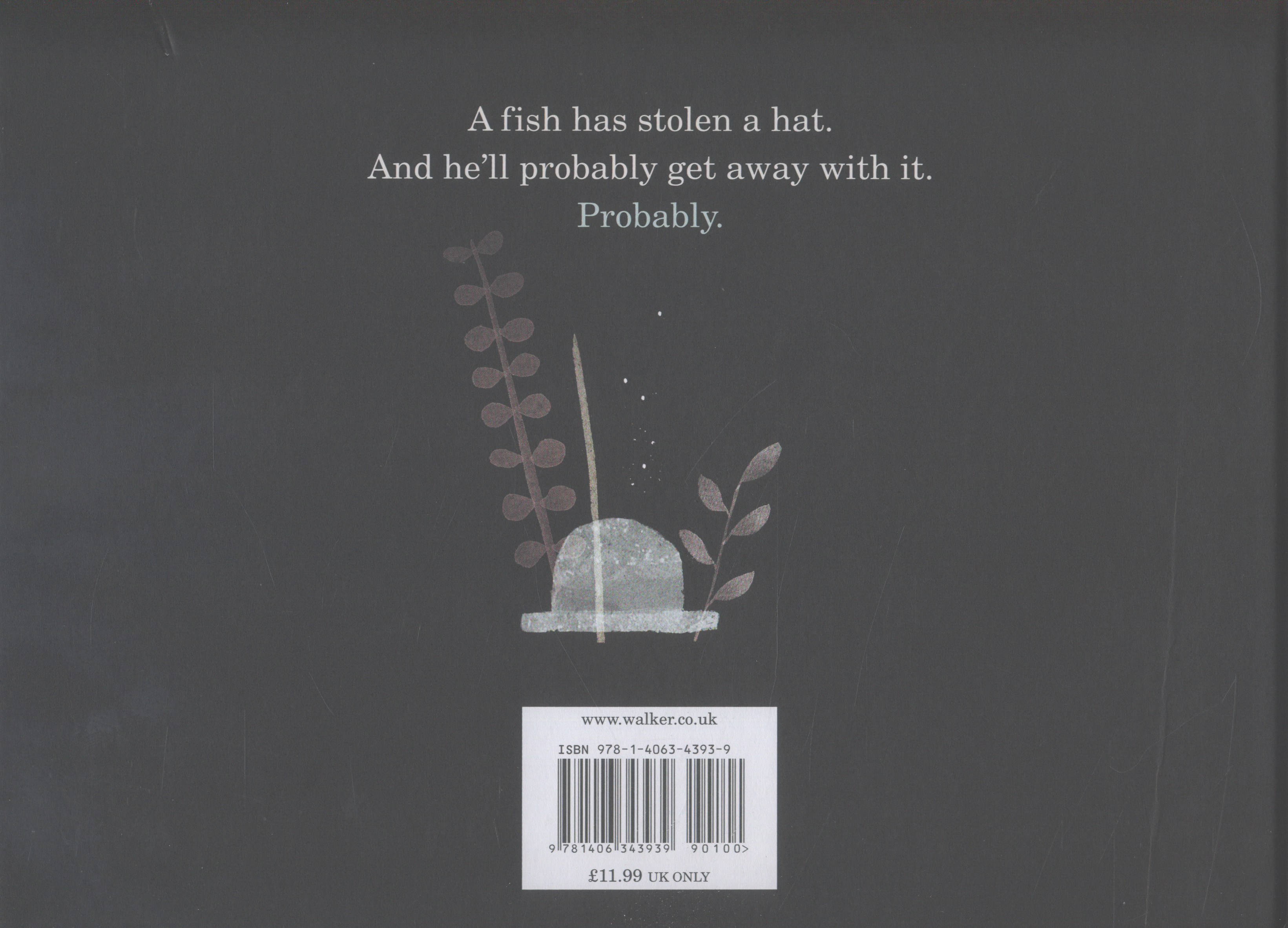 This is not my hat by KLASSEN, JON (9781406343939) | BrownsBfS