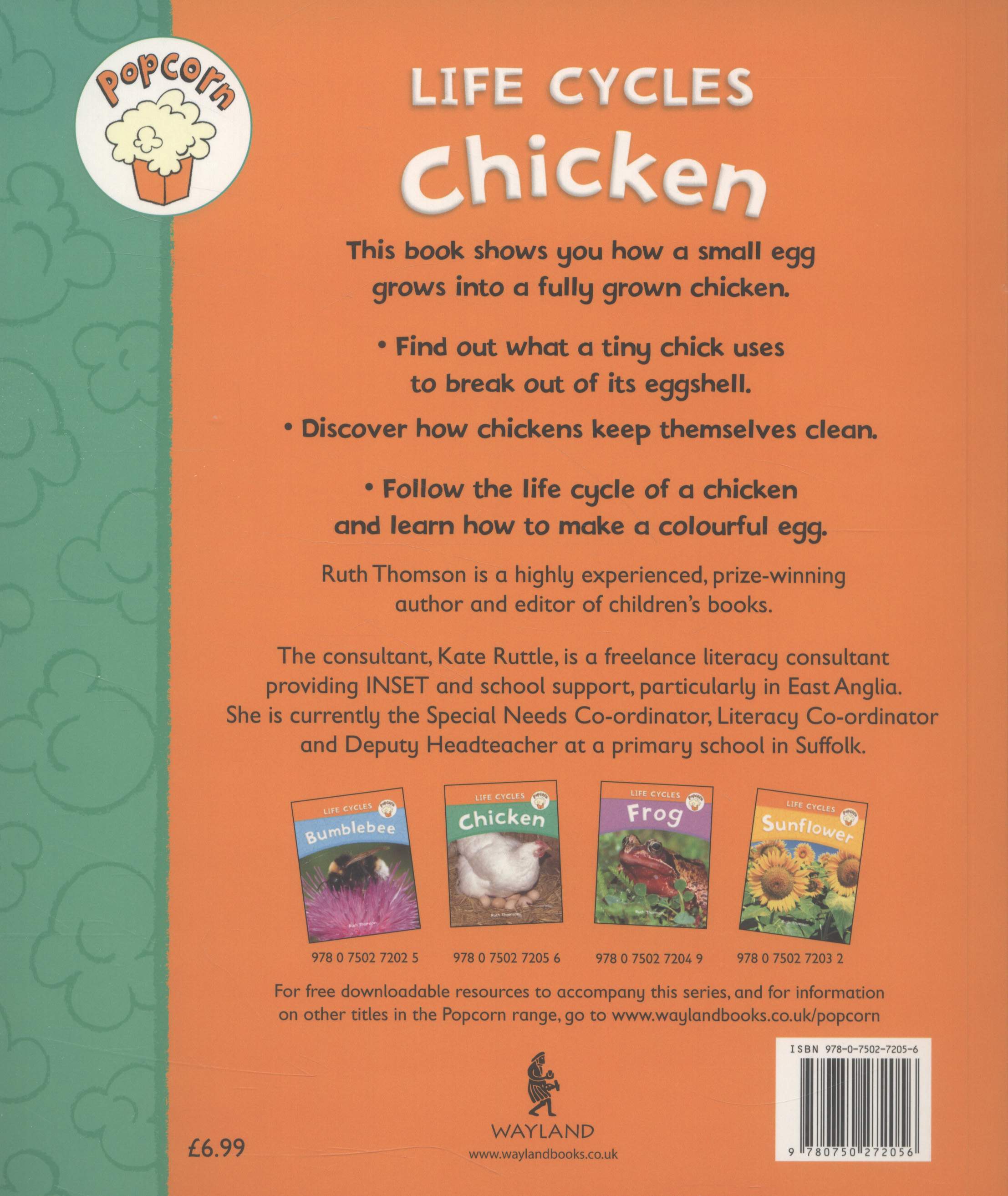 Popcorn: Life Cycles: Chicken by Thomson, Ruth (9780750272056) | Browns ...