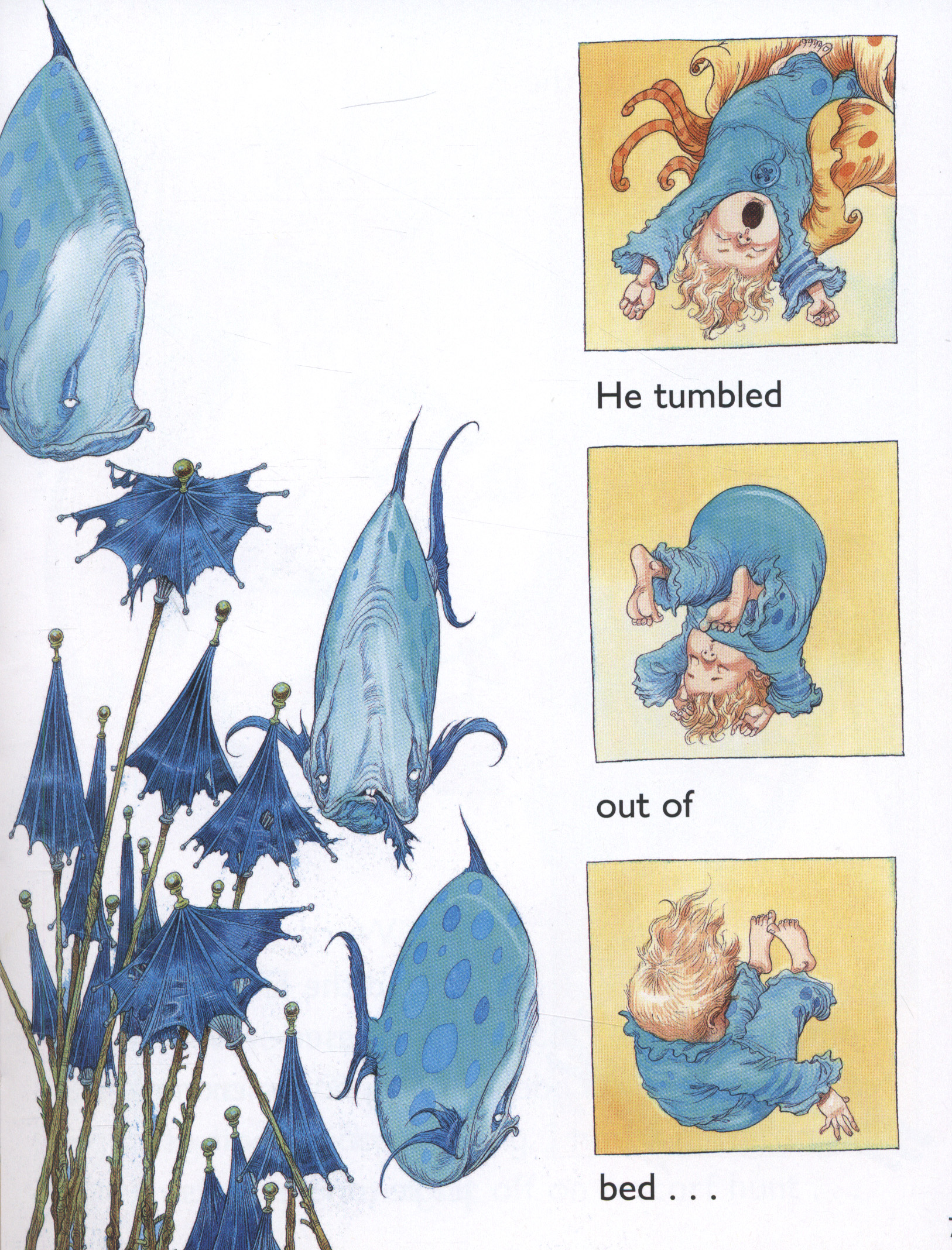 The Emperor of Absurdia by Riddell, Chris (9781447235354) | BrownsBfS