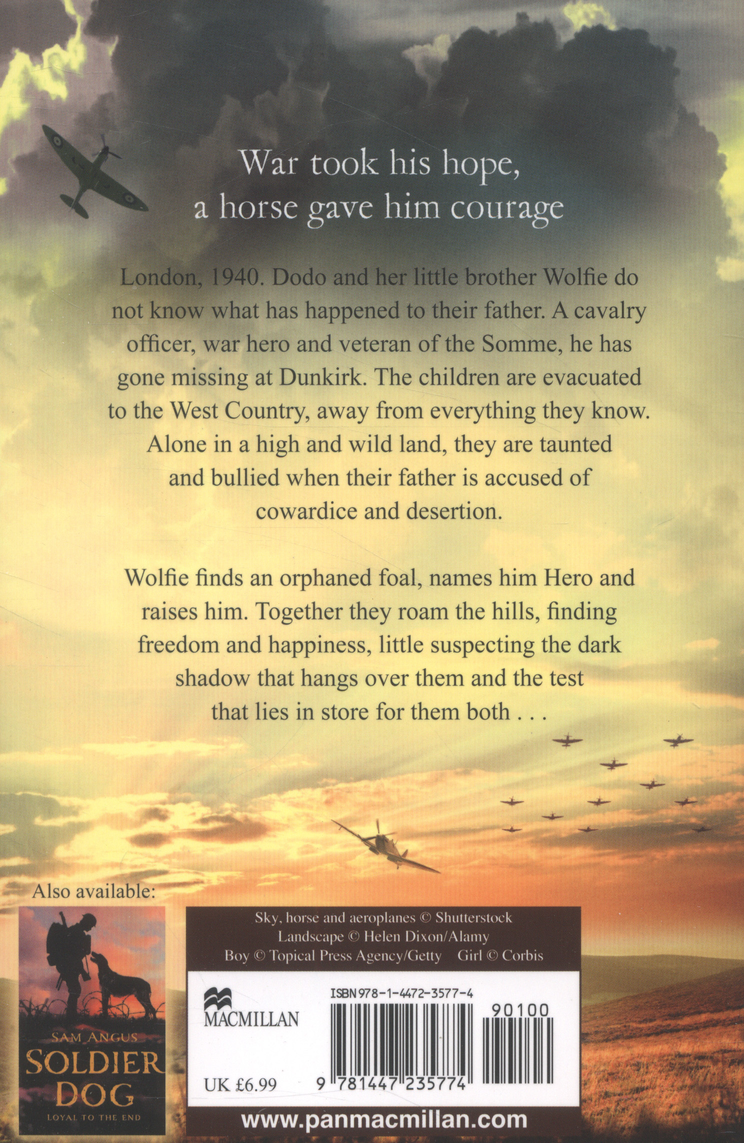 A horse called Hero by Angus, Sam (9781447235774) | BrownsBfS