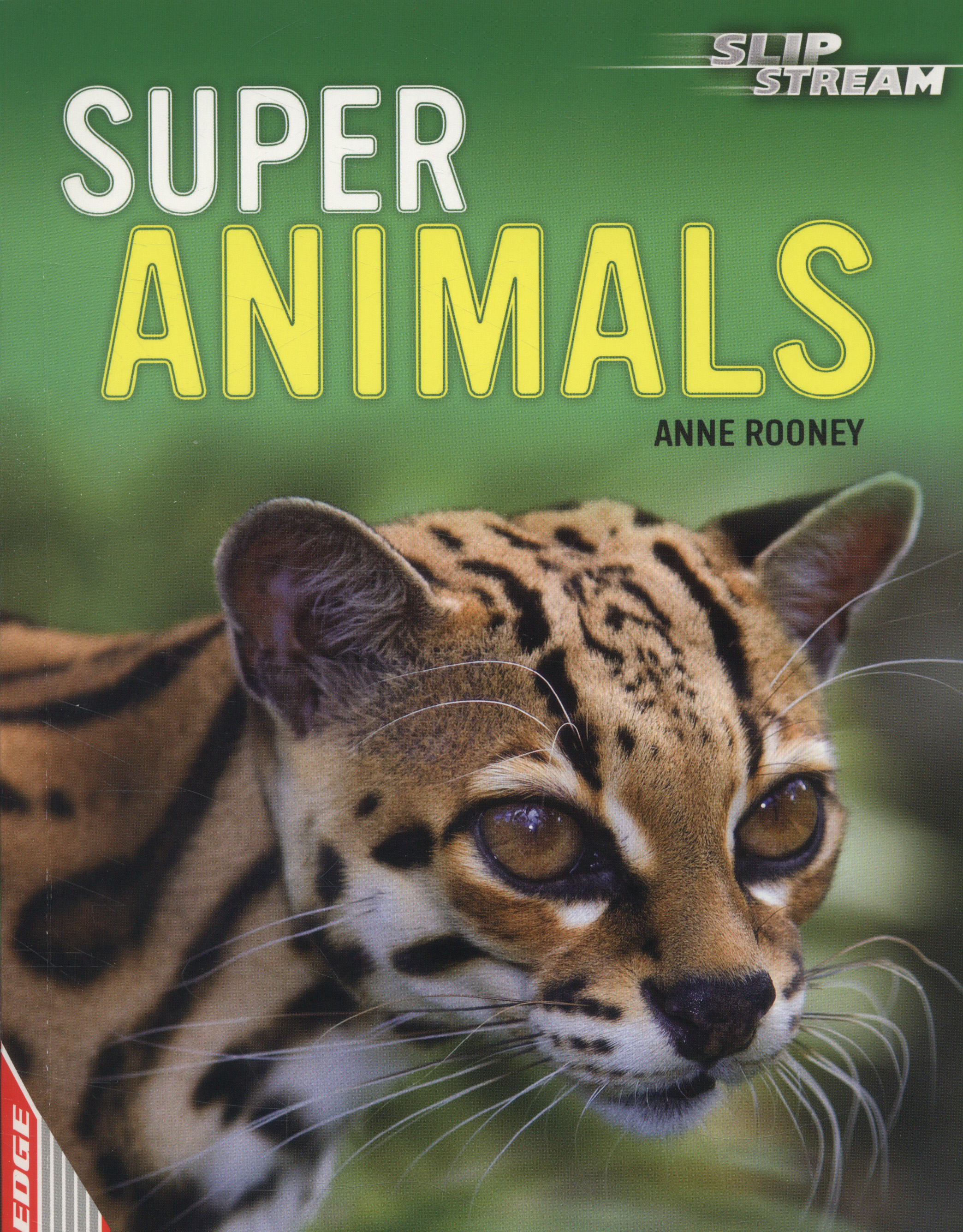 Super animals by Rooney, Anne (9781445113586) | BrownsBfS
