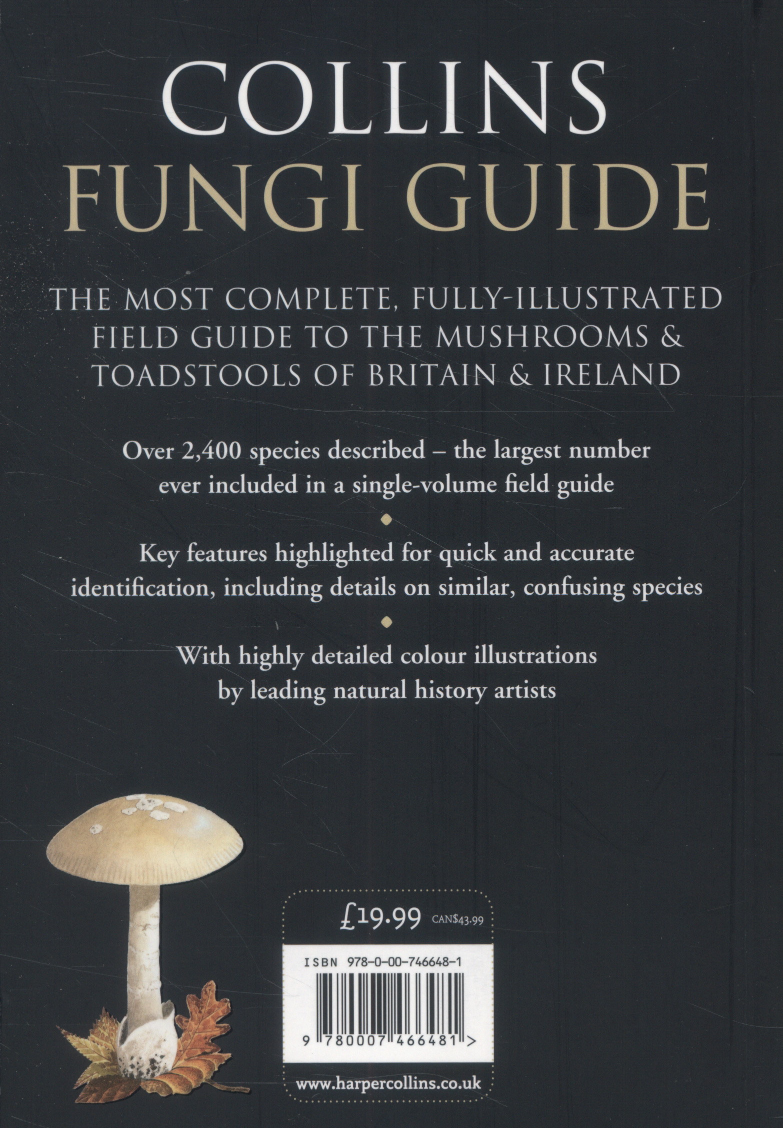 Collins Fungi Guide by Buczacki, Stefan (9780007466481) | Browns Books