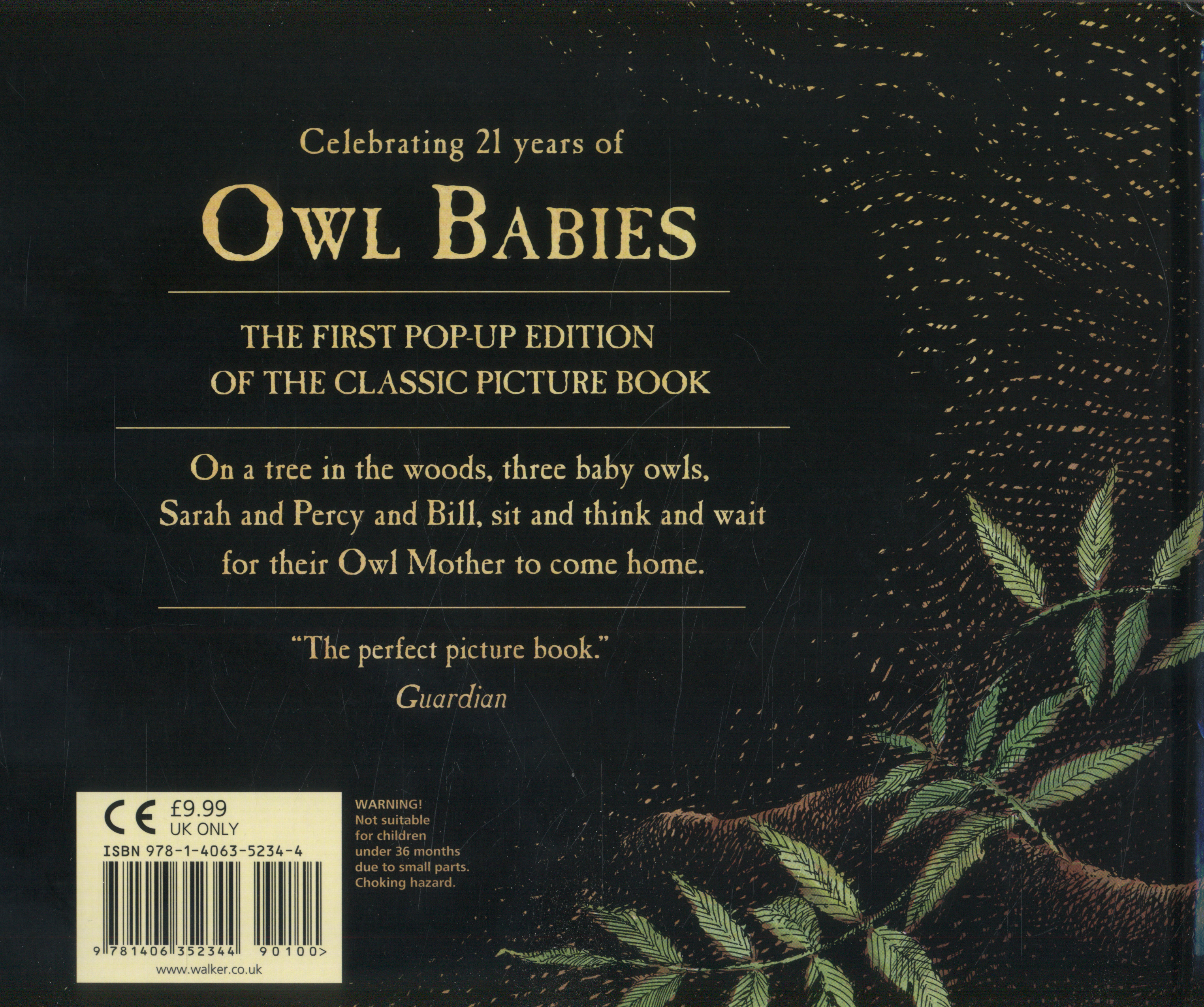 Owl babies by Waddell, Martin (9781406352344) | BrownsBfS